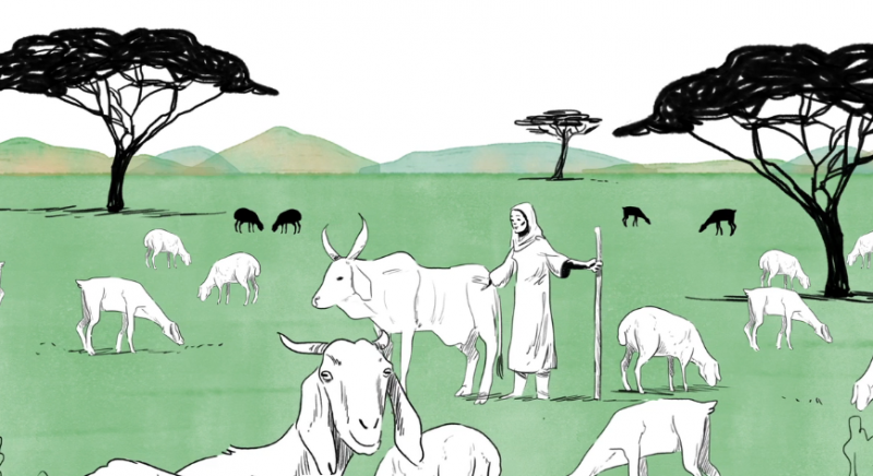 Pastoralism, the future in food production - Vétérinaires Sans ...