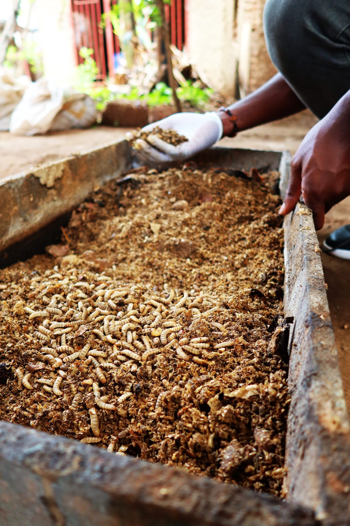 Innovative projects transforming life in rural areas of Rwanda ...