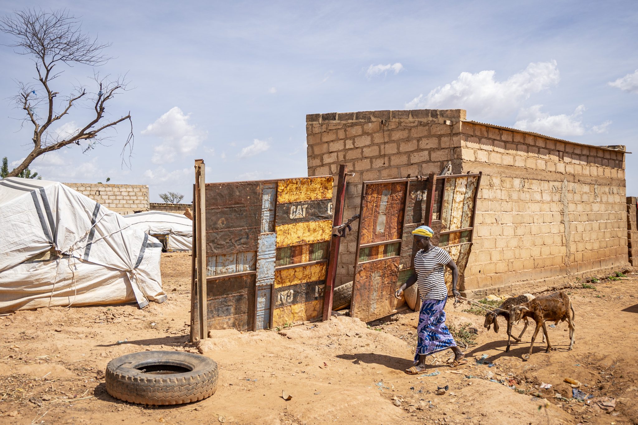 Our humanitarian support for livestock keepers