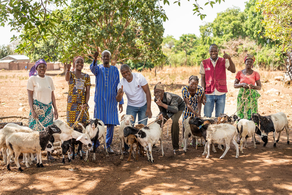 Solidarity-Based Livestock Farming in Benin